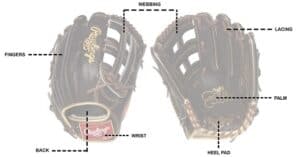 Baseball Glove Web Types | A Complete Breakdown