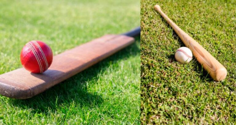 Baseball Bat Vs. Cricket Bat [The Important Differences]