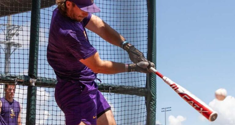 8 Best Baseball Bat Brands In [2025]: In-depth Discussion