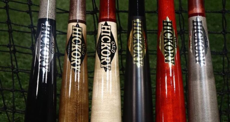 8 Best Baseball Bat Brands In [2026]: In-depth Discussion