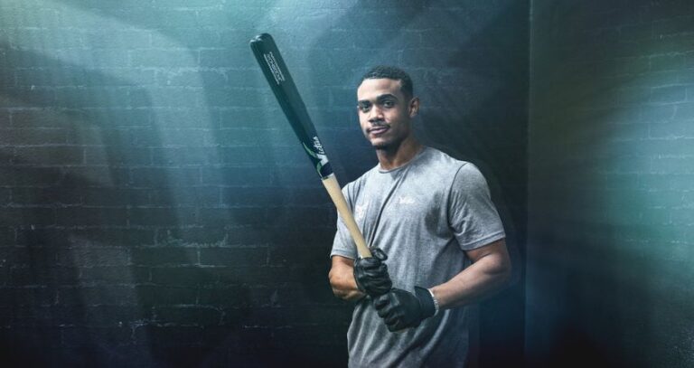 7 Best Wood Baseball Bats | Review | Buying Guide | FAQ